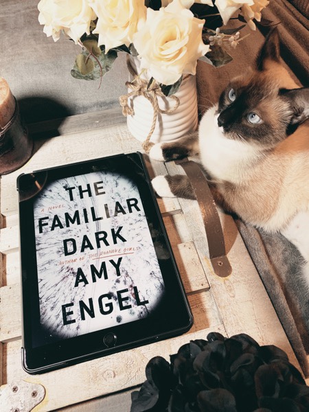 The Familiar Dark by Amy Engel @aengelwrites @DuttonBooks – Witch Words