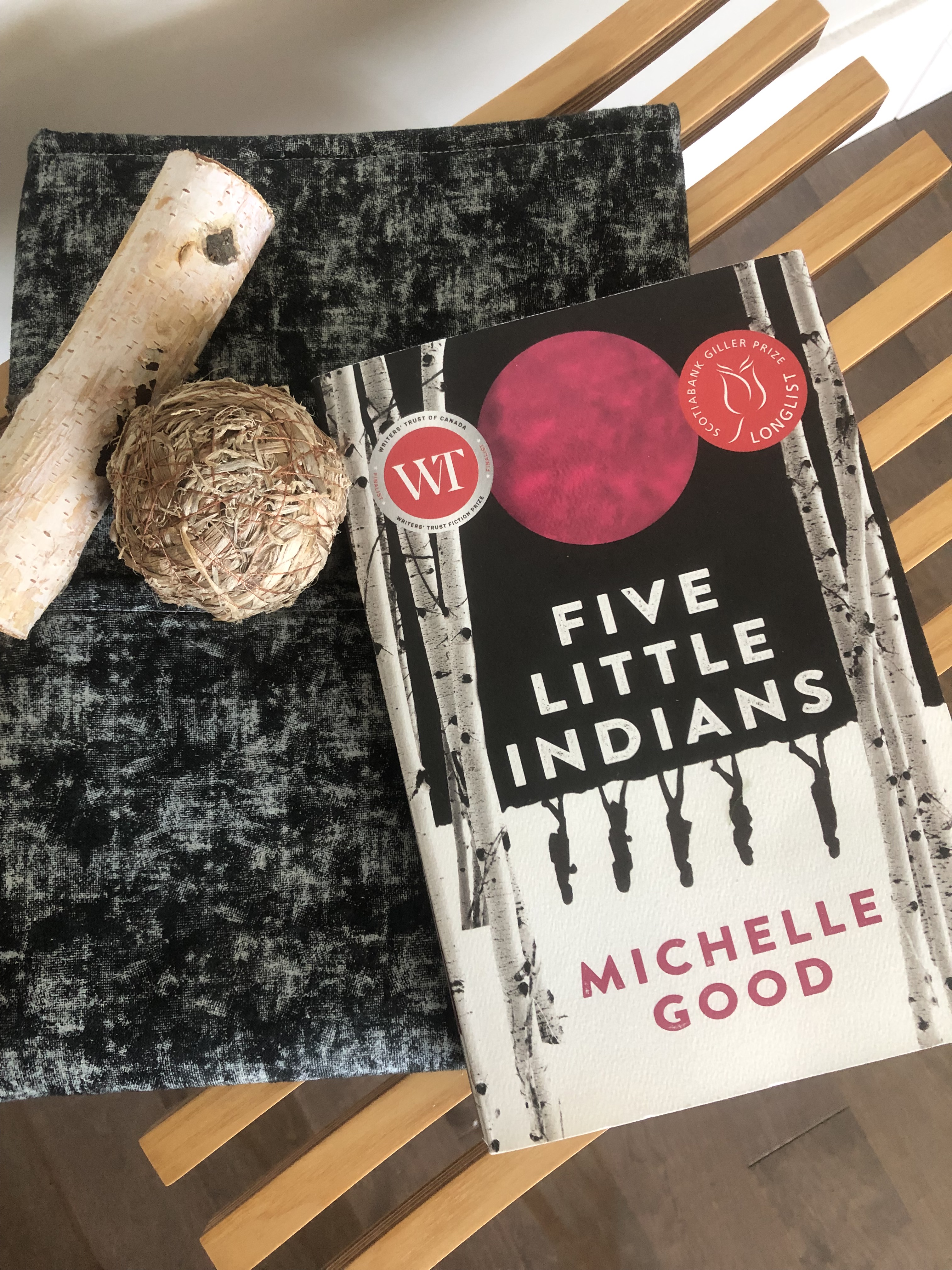 Five Little Indians by Michelle Good and What I Have learned about ...